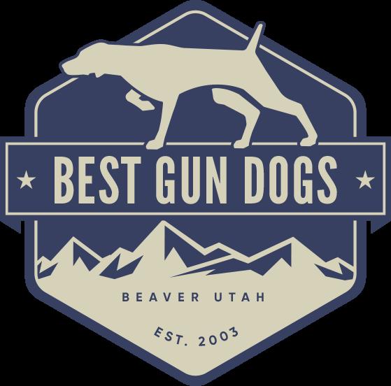 All Top-Quality Gun Dog Training Products | Best Gun Dogs