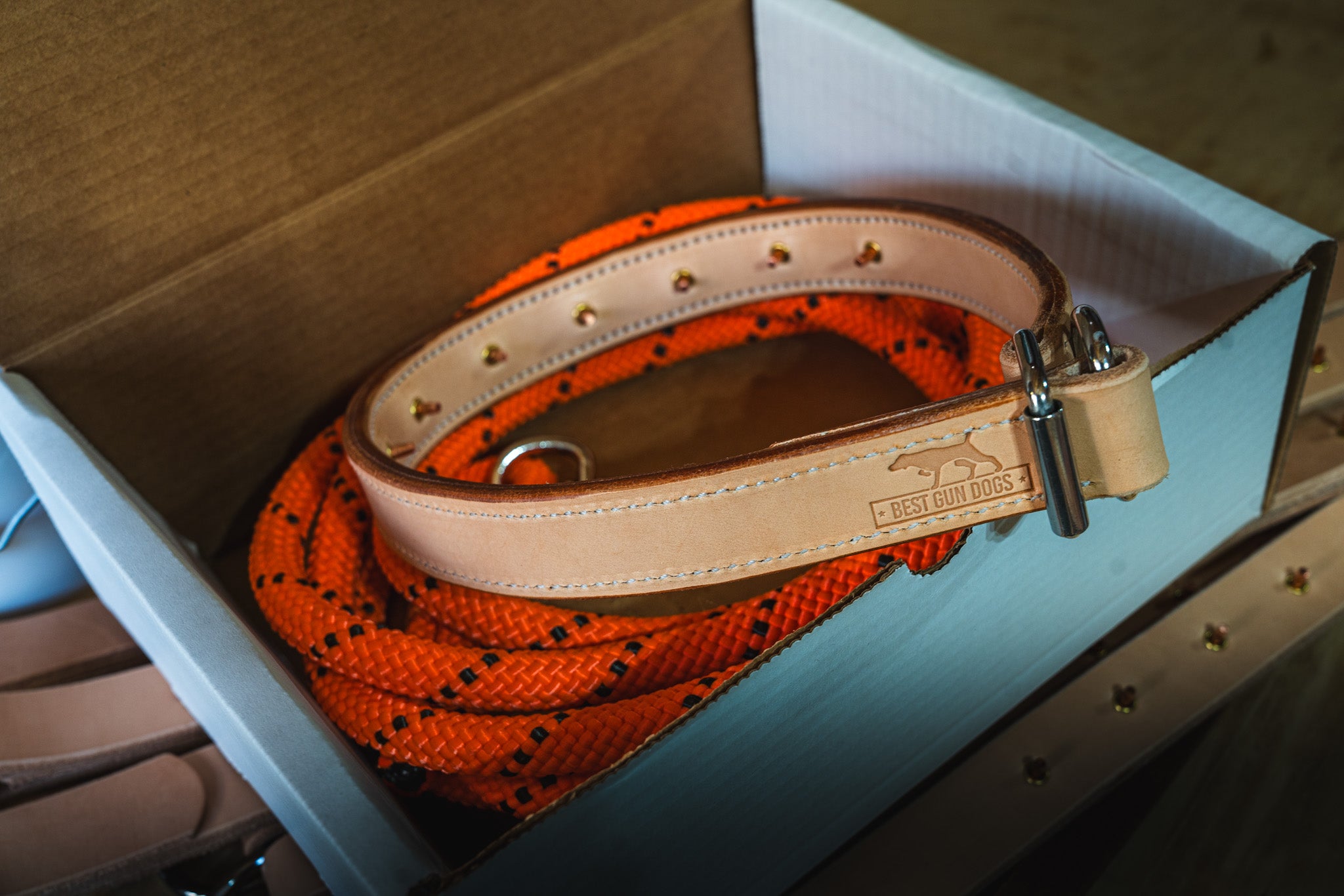 Leather Training Collar – Best Gun Dogs